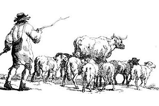 The Drovers Way - Cowbridge